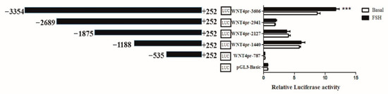 A Novel Single-Nucleotide Polymorphism in WNT4 Promoter Affects Its ...