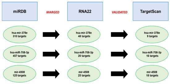 Integrated Bioinformatics Analysis Reveals Novel miRNA as Biomarkers ...