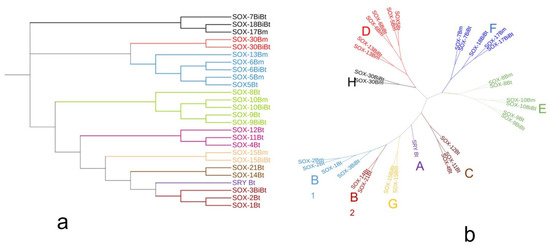 Molecular Evolution and Inheritance Pattern of Sox Gene Family among ...
