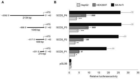 A Single Nucleotide Polymorphism (rs3811792) Affecting Human SCD5 ...