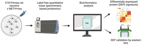 Genes | Free Full-Text | Effect of Combined Methamphetamine and ...