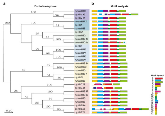 Spatial and Temporal Expression Characteristics of the HBB Gene Family ...
