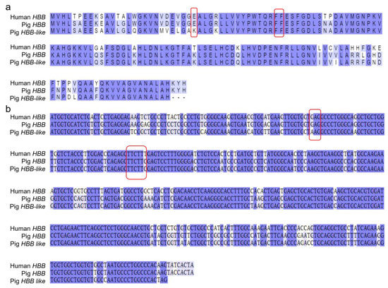 Spatial and Temporal Expression Characteristics of the HBB Gene Family ...