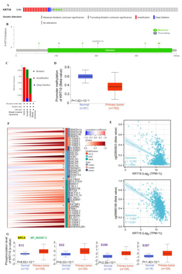 A Comprehensive Analysis of KRT19 Combined with Immune Infiltration to ...