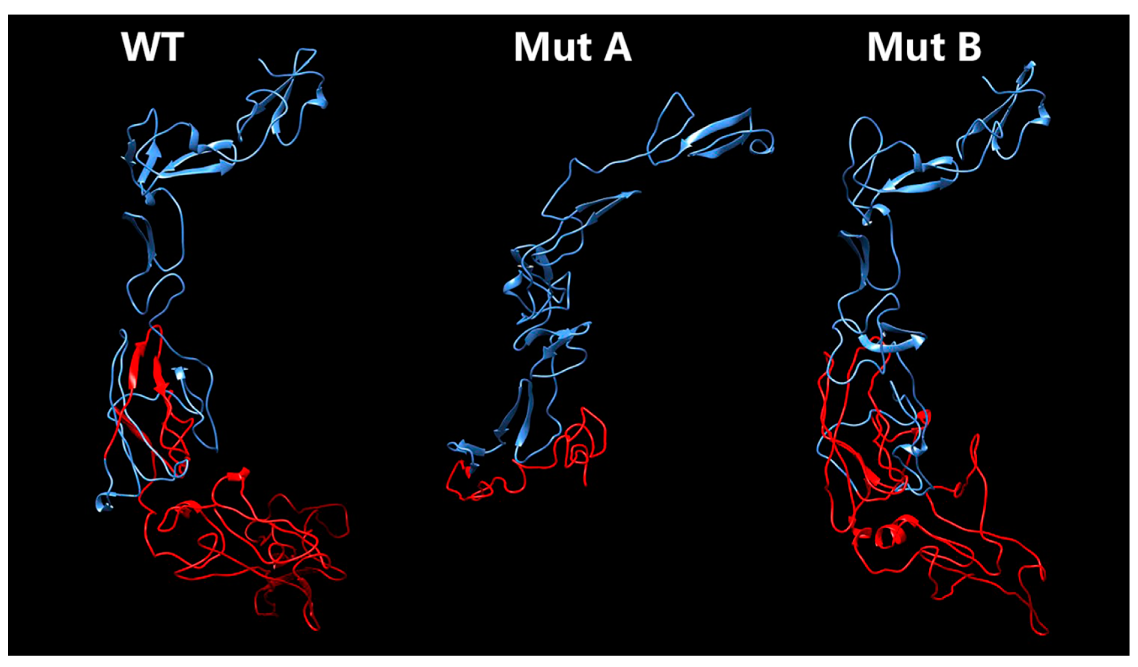 FBN1 Splice-Altering Mutations in Marfan Syndrome: A Case Report and Literature Review