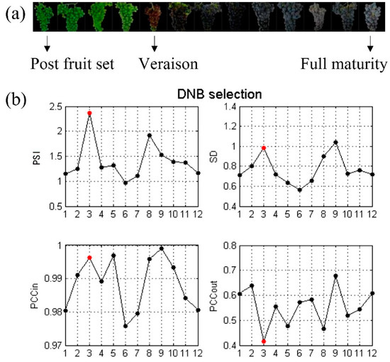 Dynamic Network Biomarker Analysis Reveals the Critical Phase ...