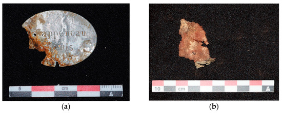 The Skeletal Remains of Soldiers from the Two World Wars: Between ...