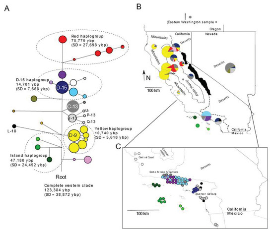 Genes | Free Full-Text | Population Genetics of California Gray Foxes ...