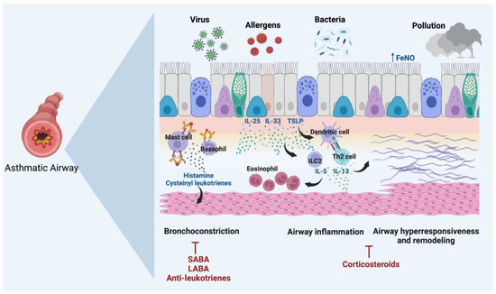 The Genetic Factors of the Airway Epithelium Associated with the ...