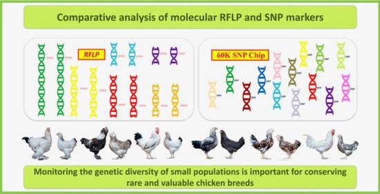 Genes | Special Issue : Advances in Poultry Genetics and Breeding