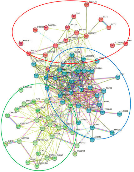 Hereditary Metabolic Bone Diseases: A Review of Pathogenesis, Diagnosis ...