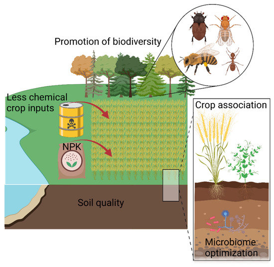 A Flashforward Look into Solutions for Fruit and Vegetable Production
