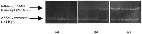 Evaluation of Mean Percentage of Full-Length SMN Transcripts as a ...
