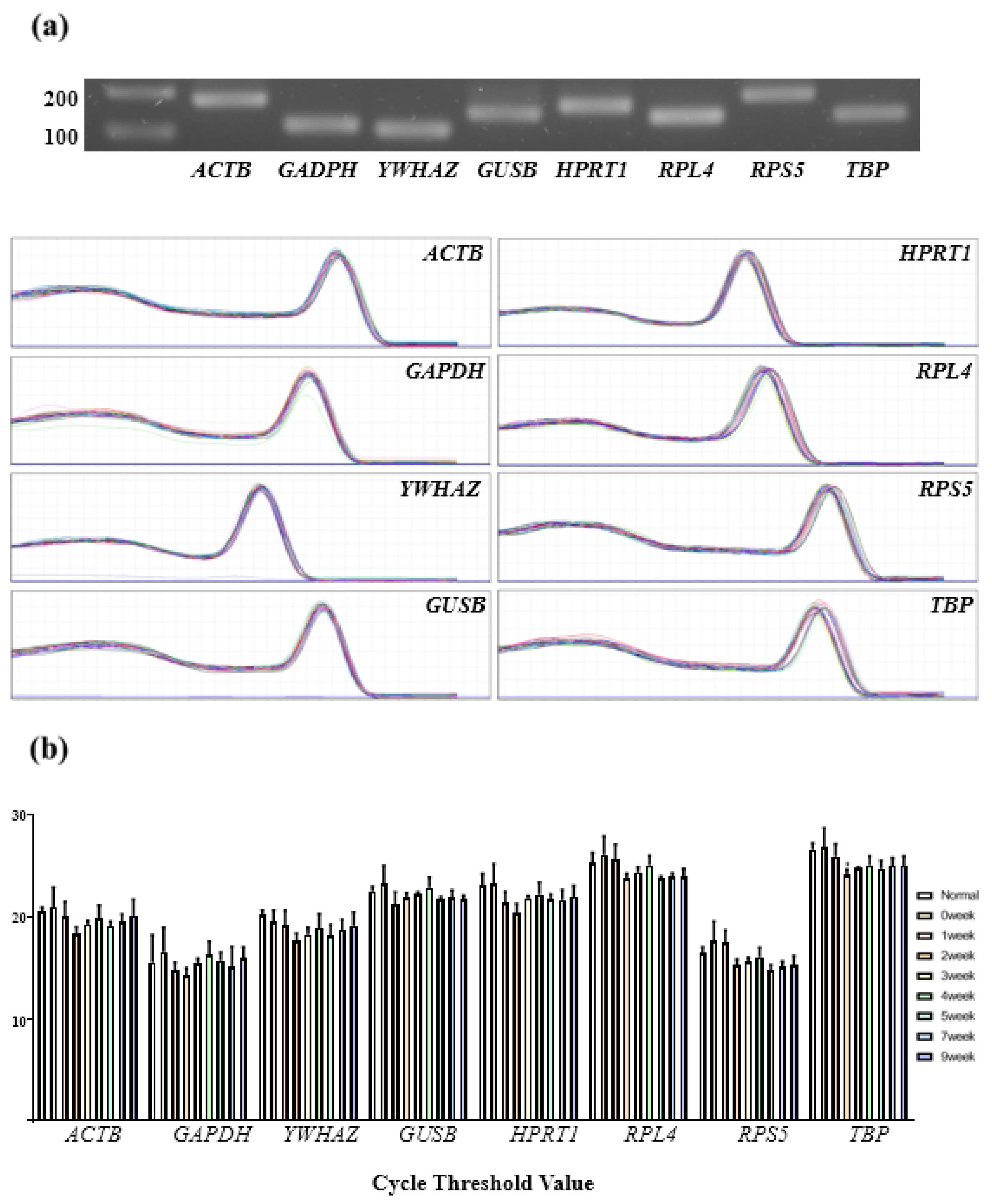 Genes | Free Full-Text | HPRT1 Most Suitable Reference Gene for ...