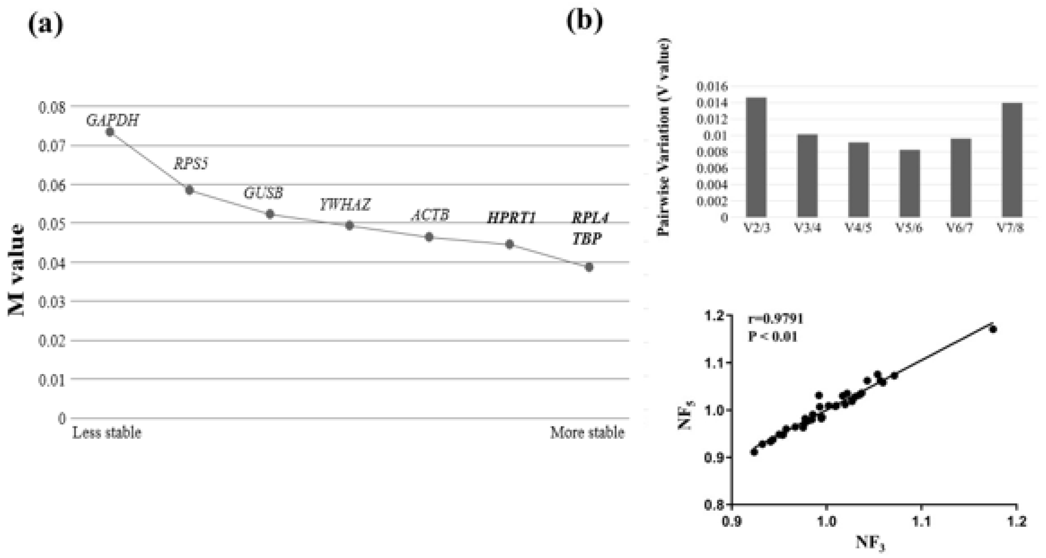 Genes | Free Full-Text | HPRT1 Most Suitable Reference Gene for ...