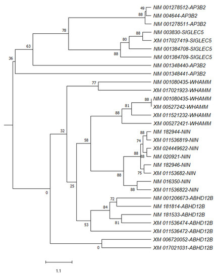 Genes | Free Full-Text | Codon Pattern and Compositional Constraints ...