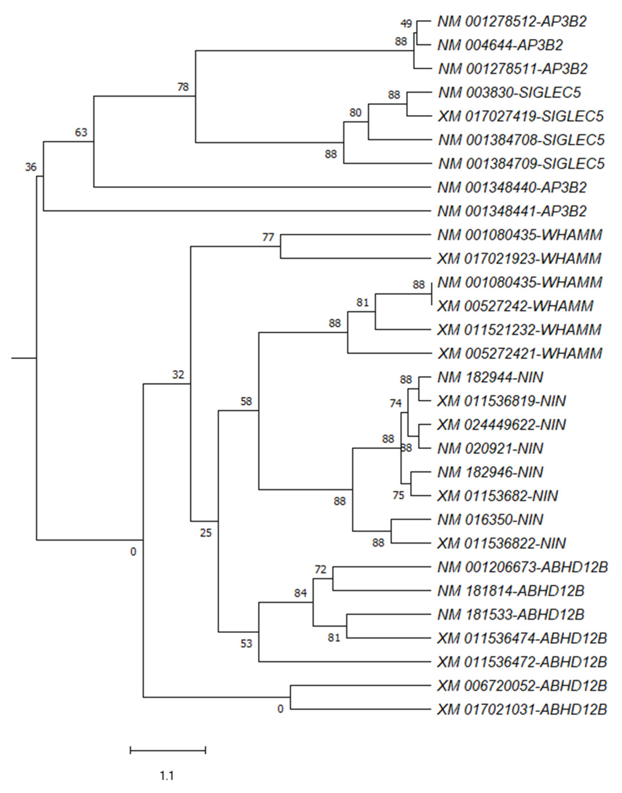 Genes | Free Full-Text | Codon Pattern and Compositional Constraints ...