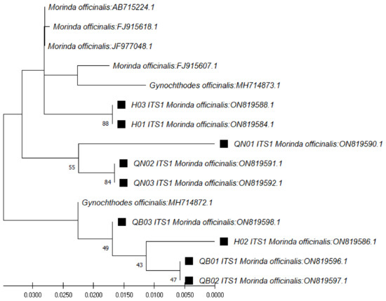 Phylogenetic Analysis Based on DNA Barcoding and Genetic Diversity ...