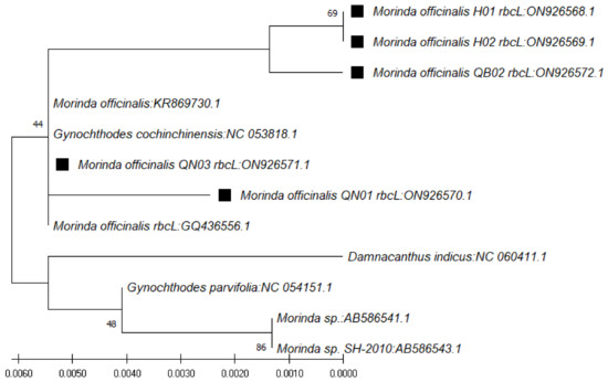 Phylogenetic Analysis Based on DNA Barcoding and Genetic Diversity ...