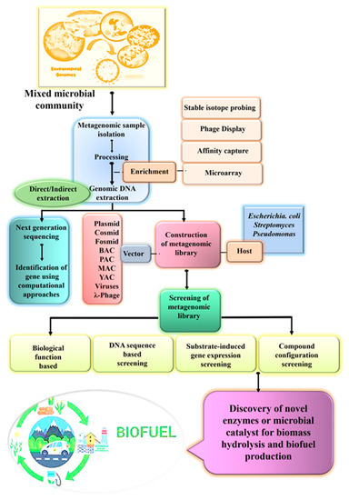 Unravelling Metagenomics Approach for Microbial Biofuel Production