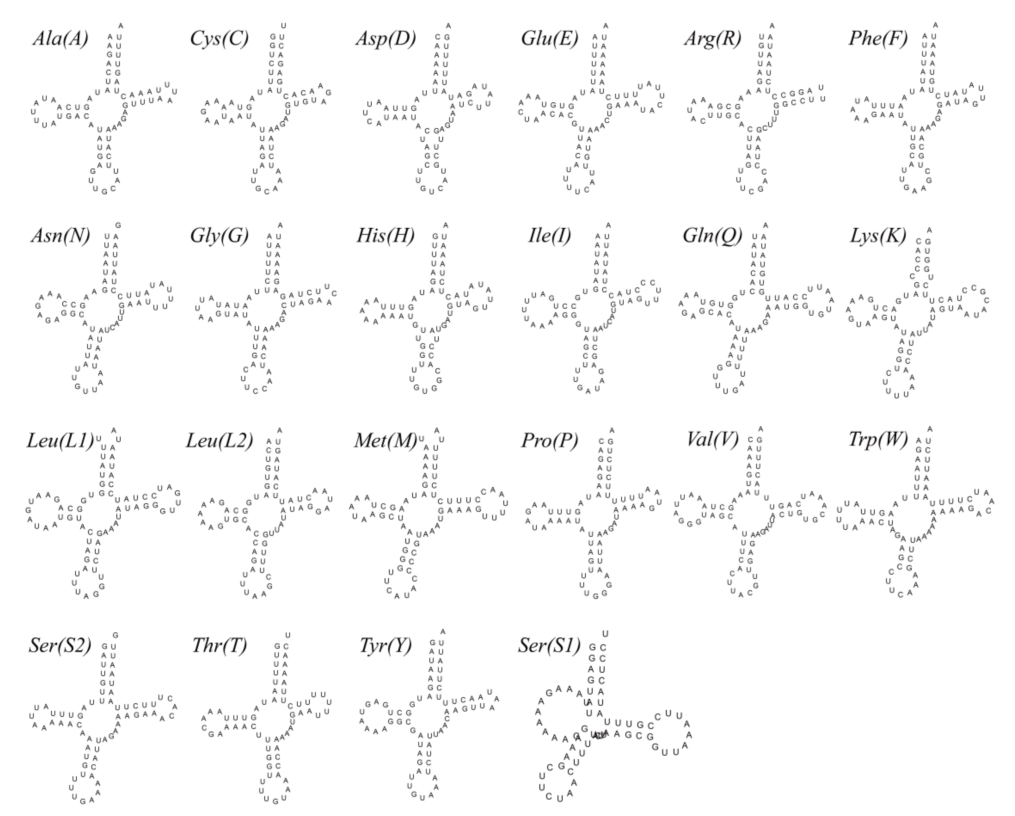 The Complete Mitochondrial Genome of Pilumnopeus Makianus (Brachyura ...