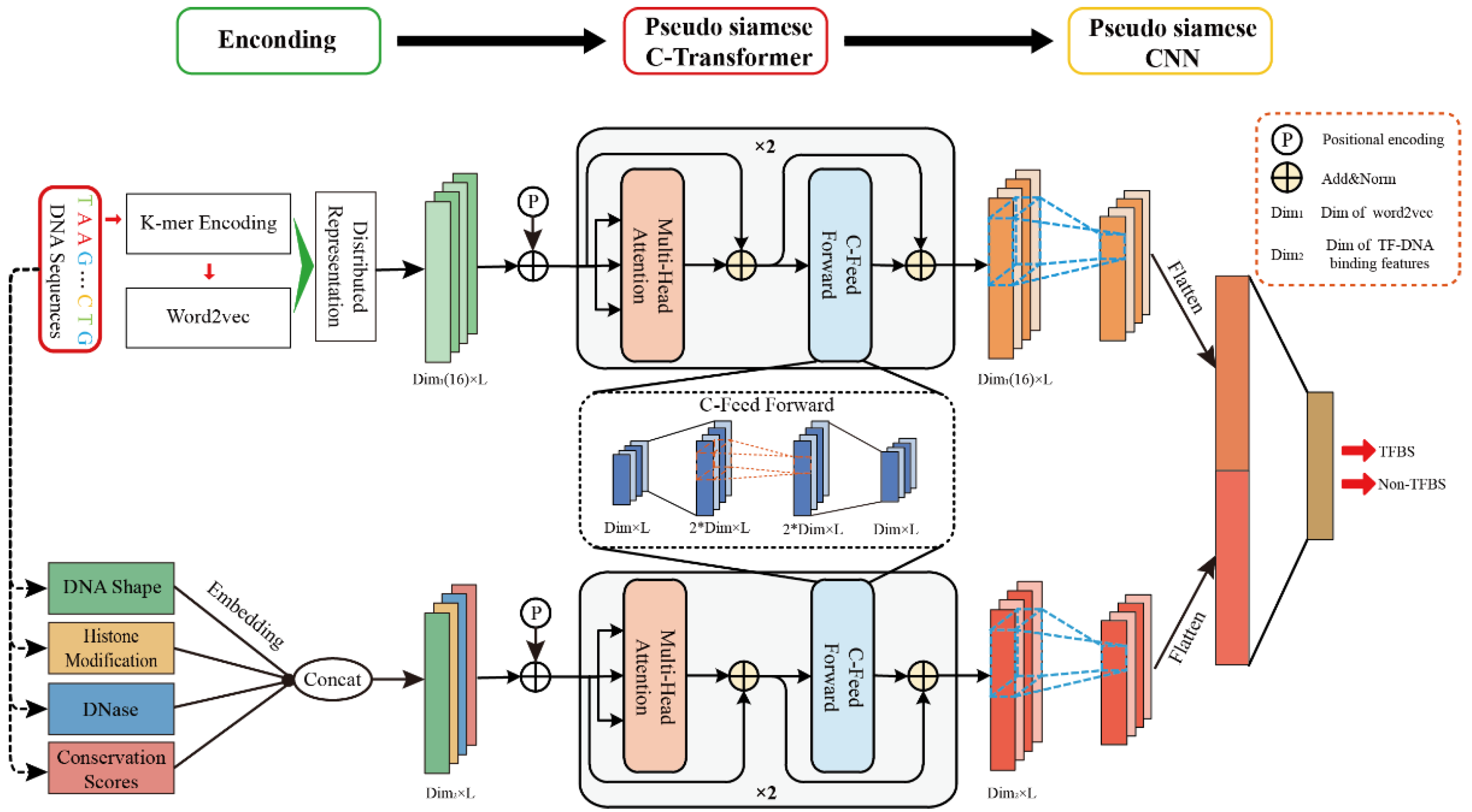 Genes | Free Full-Text | Uncovering the Relationship between Tissue ...