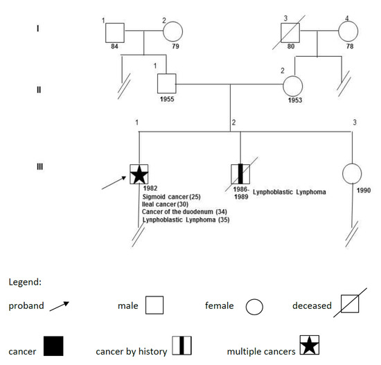 Biallelic PMS2 Mutations in a Family with Uncommon Clinical and ...