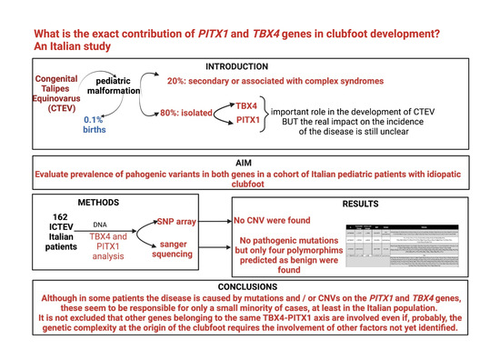 Genes | Free Full-Text | What Is the Exact Contribution of PITX1 and TBX4 Genes in Clubfoot ...