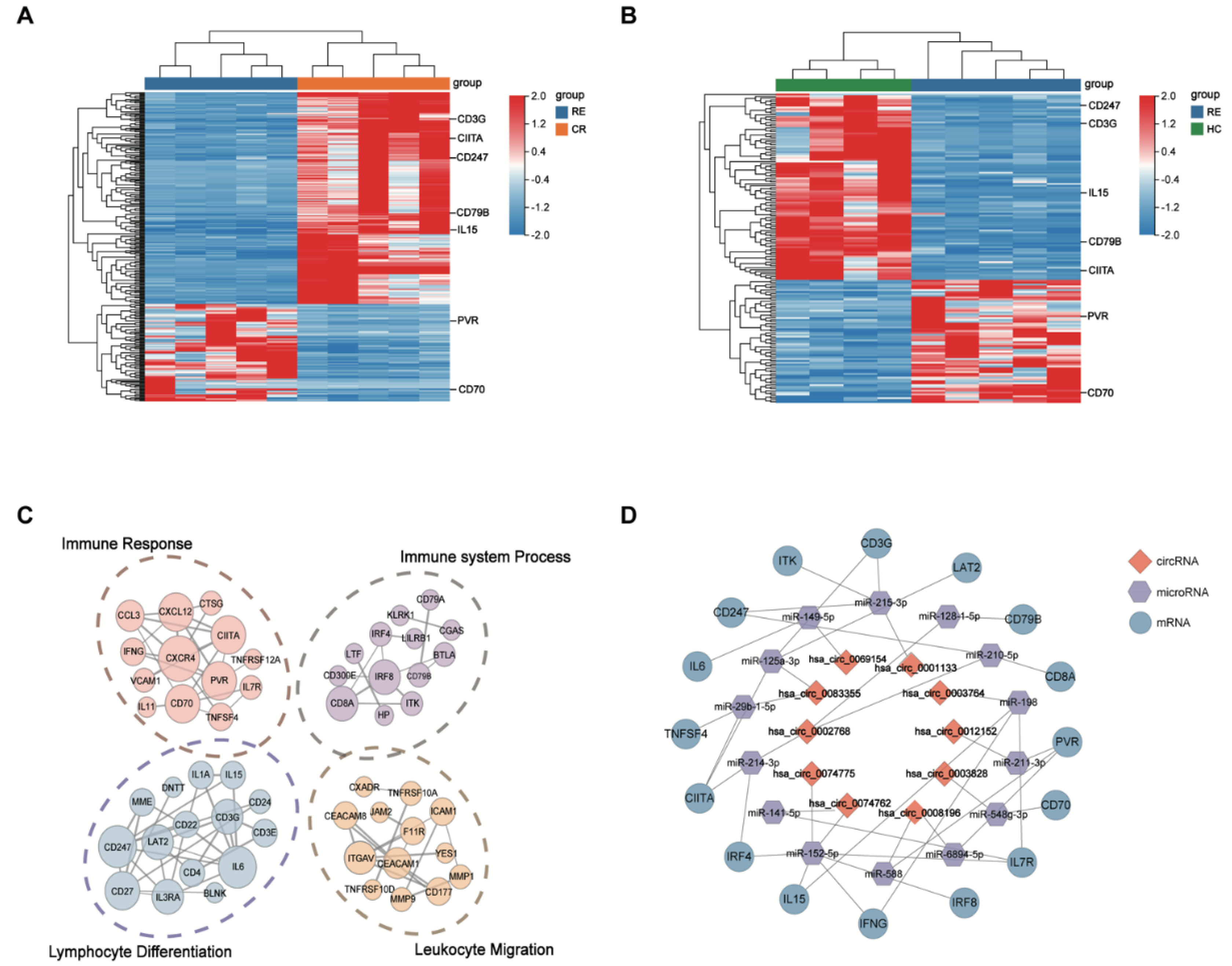 Deregulated Expression of Circular RNAs Is Associated with Immune Evasion and Leukemia Relapse ...