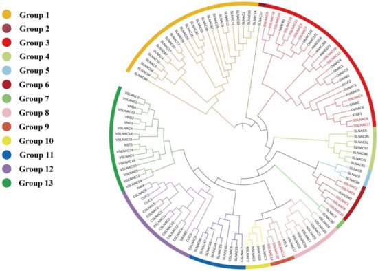 Comprehensive Analysis of NAC Genes Reveals Differential Expression ...