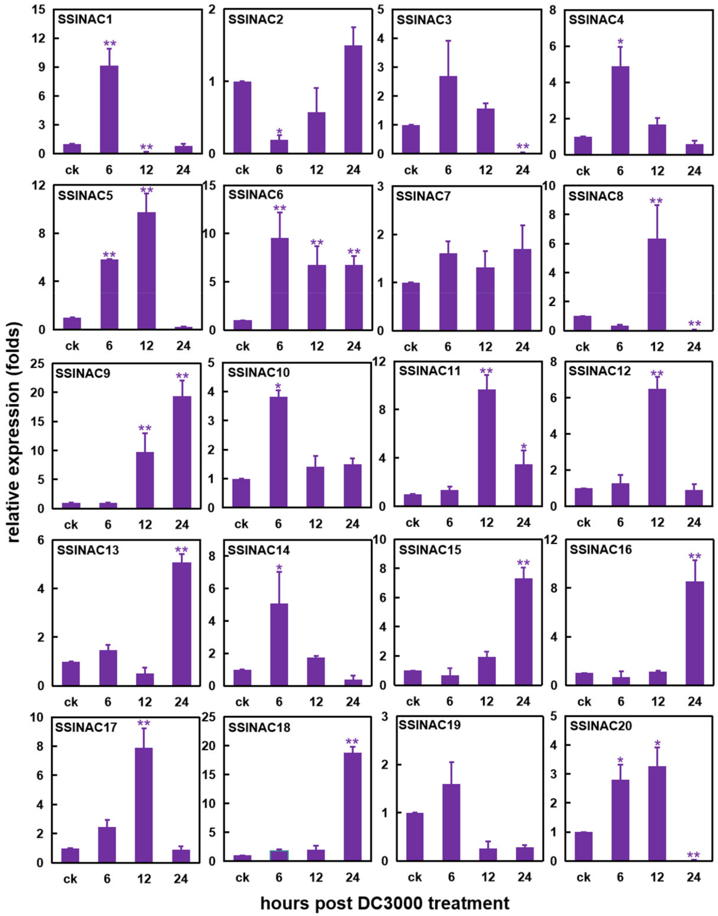 Comprehensive Analysis of NAC Genes Reveals Differential Expression ...
