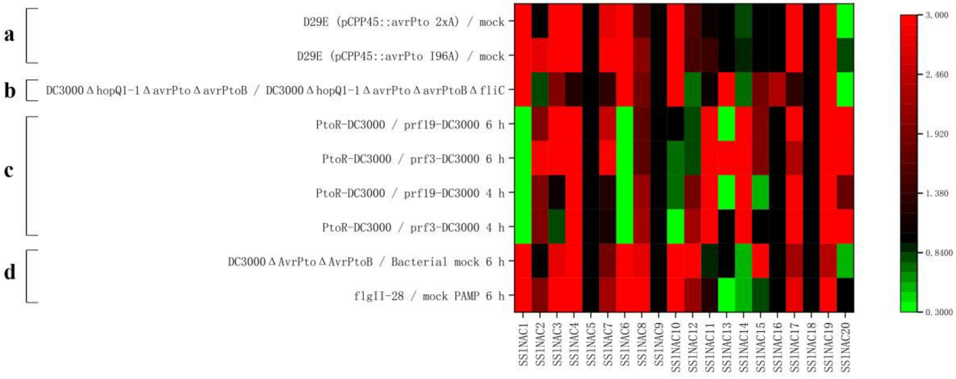 Comprehensive Analysis of NAC Genes Reveals Differential Expression ...