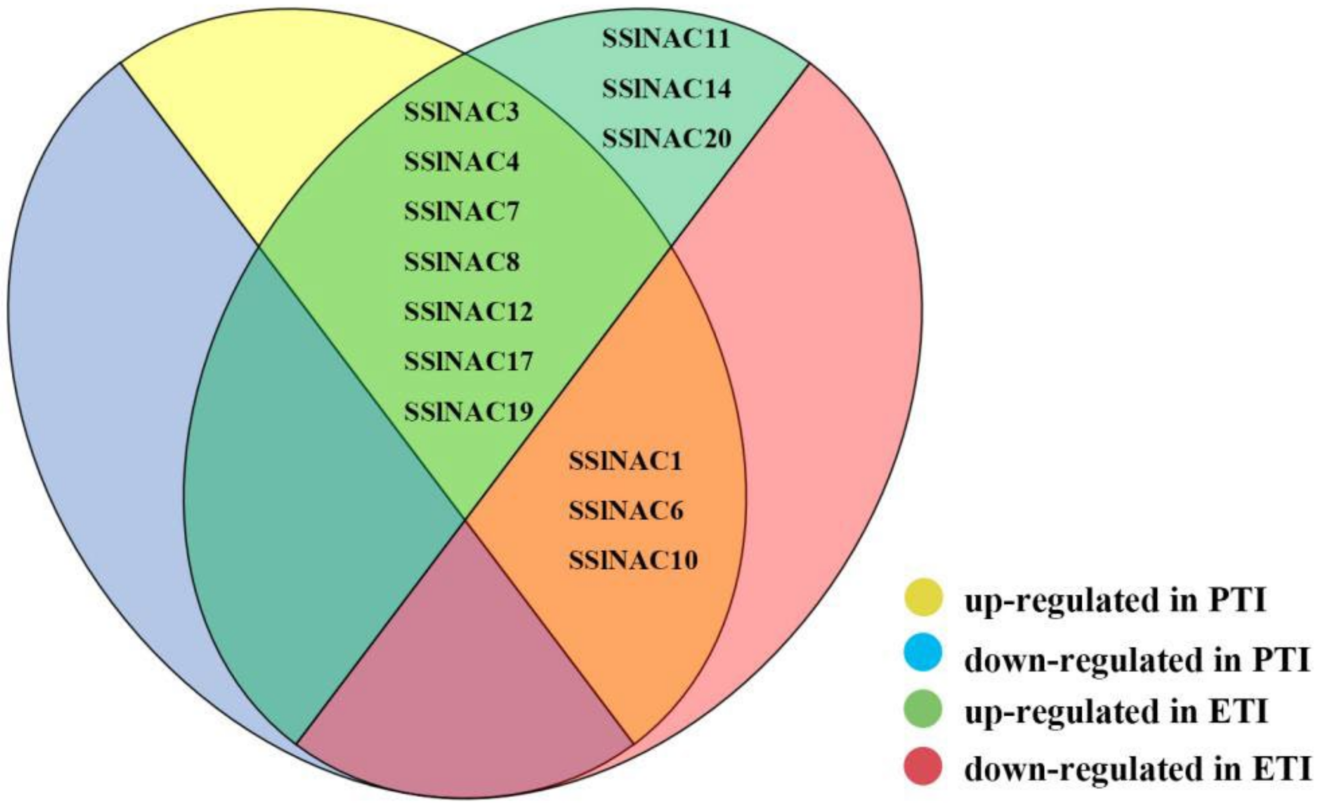 Comprehensive Analysis of NAC Genes Reveals Differential Expression ...
