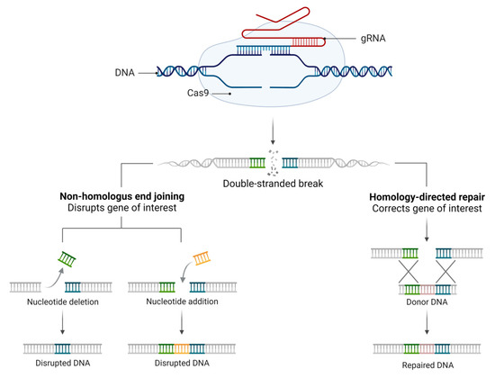 CRISPR/Cas9 Genome-Editing Technology and Potential Clinical ...
