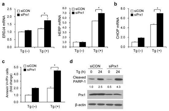 Prx1 Regulates Thapsigargin-Mediated UPR Activation and Apoptosis