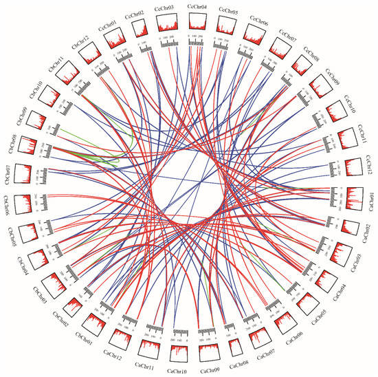 Genes | Free Full-Text | Genome-Wide Identification, Evolution, and ...