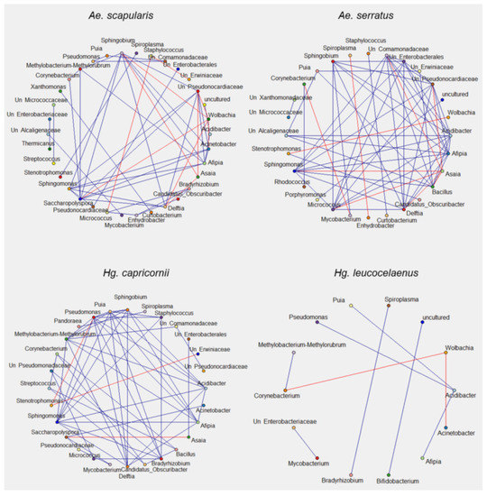 Bacterial Community Diversity and Bacterial Interaction Network in ...