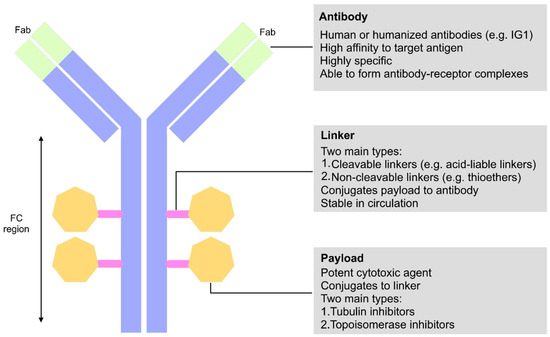 Antibody-Drug Conjugates for the Treatment of HER2-Positive Breast Cancer