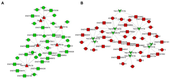 Differential Expression of lncRNA-miRNA-mRNA and Their Related ...