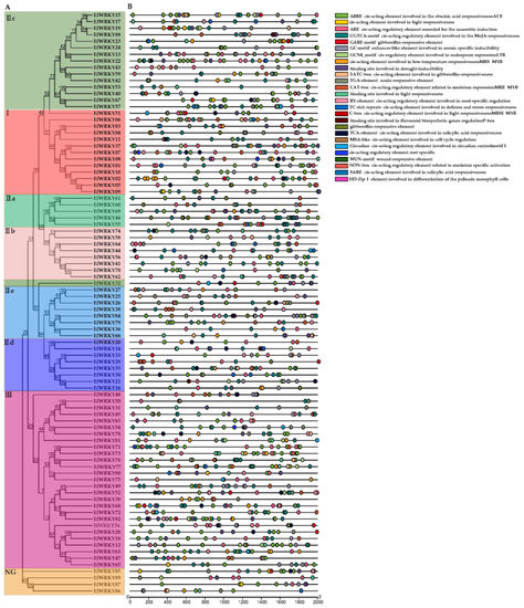 Bioinformatics Analysis of WRKY Family Genes in Erianthus fulvus Ness