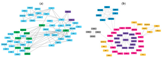Comprehensive Analysis of Phaseolus vulgaris SnRK Gene Family and Their ...