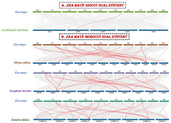 Genome-Wide Identification and In Silico Analysis of ZF-HD ...