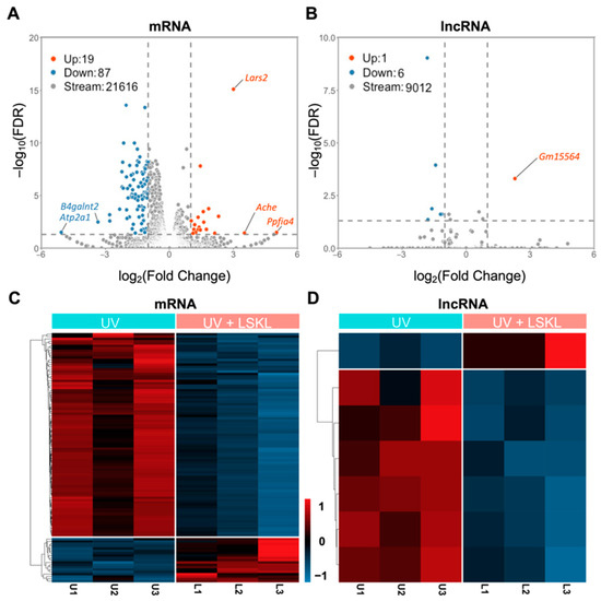 Transcriptome Sequencing Reveals Tgf-β-Mediated Noncoding RNA ...