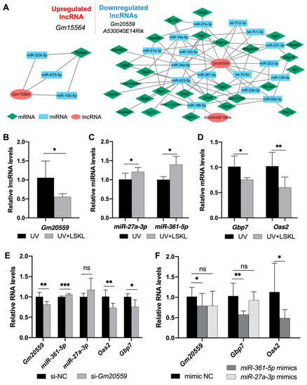 Transcriptome Sequencing Reveals Tgf-β-Mediated Noncoding RNA ...