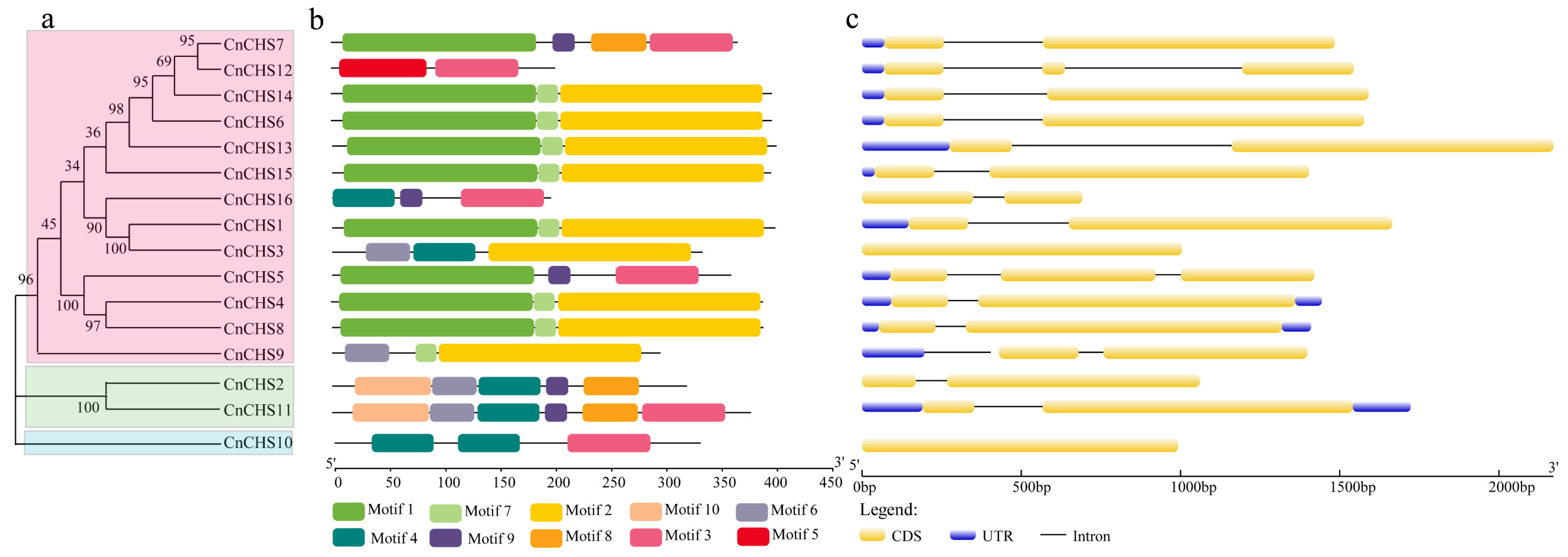 Genome-Wide Identification, Characterization, and Expression Analysis ...