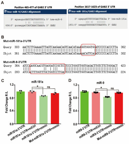 miR-9 and miR-181a Target Gab2 to Inhibit the Proliferation and ...