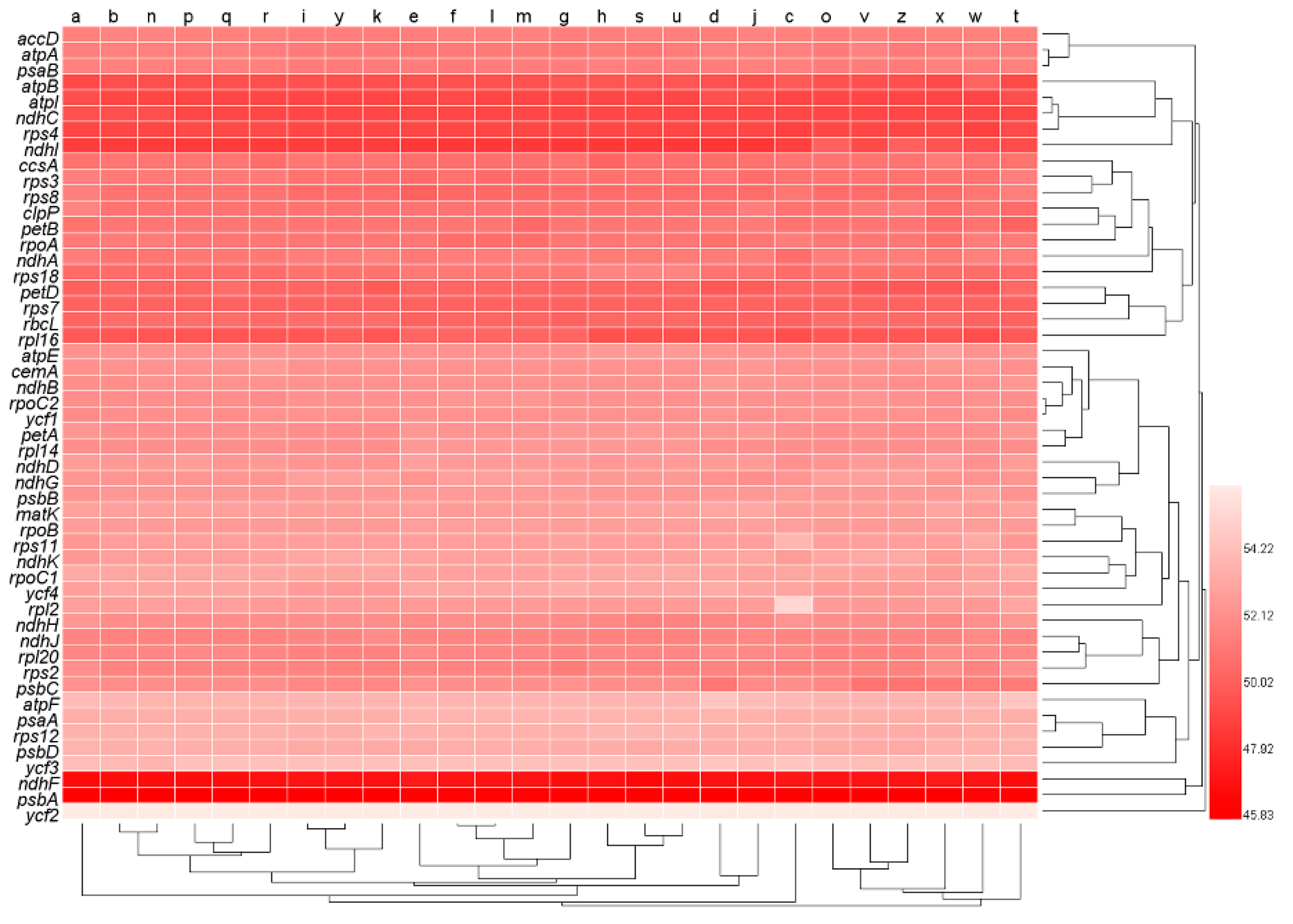 Comprehensive Analysis of Codon Usage in Quercus Chloroplast Genome and Focus on psbA Gene