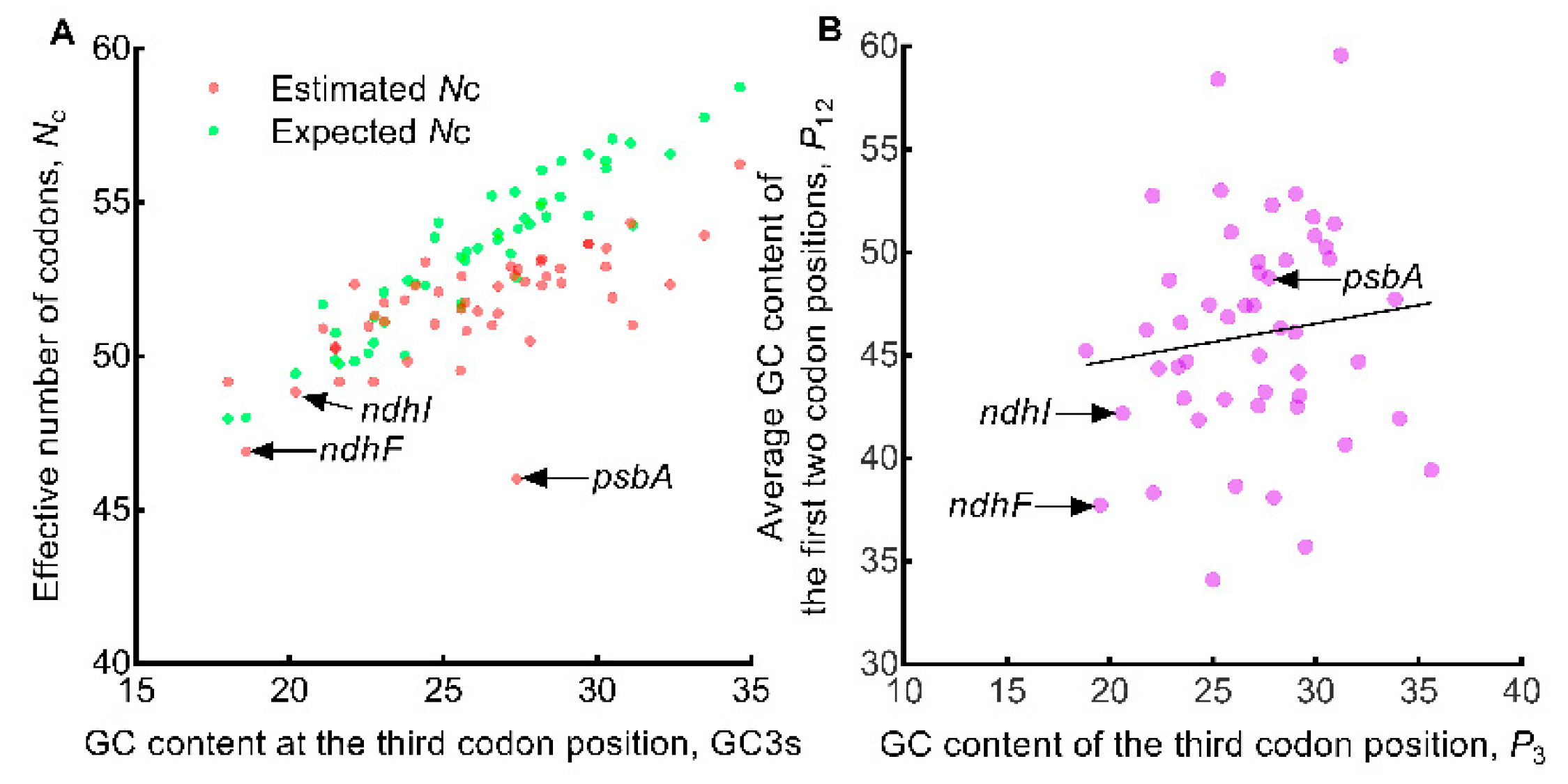 Comprehensive Analysis of Codon Usage in Quercus Chloroplast Genome and ...