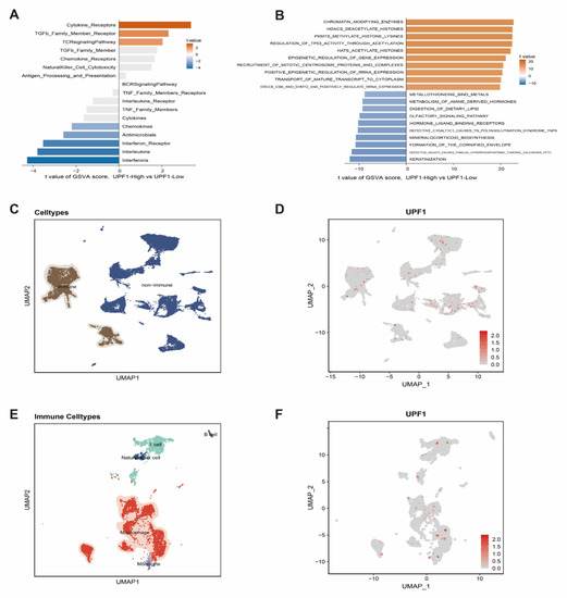 Identification and Validation of UPF1 as a Novel Prognostic Biomarker ...