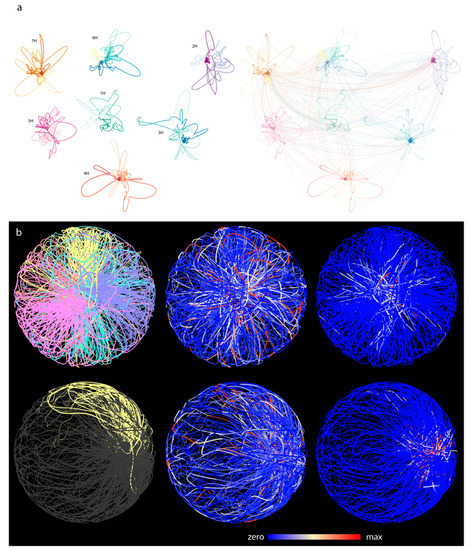 A Multigraph-Based Representation of Hi-C Data
